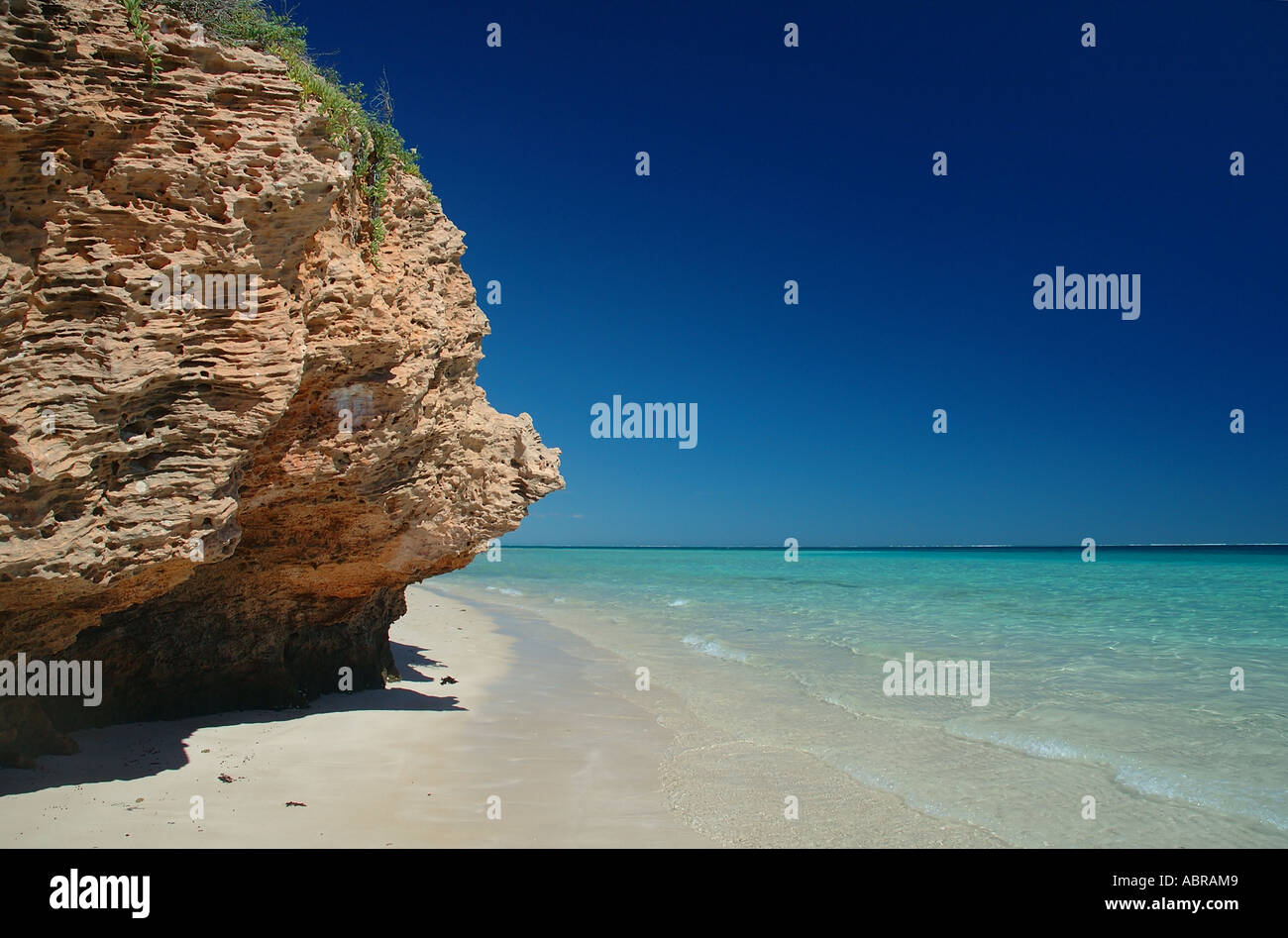 Coral Bay Ningaloo Reef Marine Park Western Australia Stock Photo - Alamy