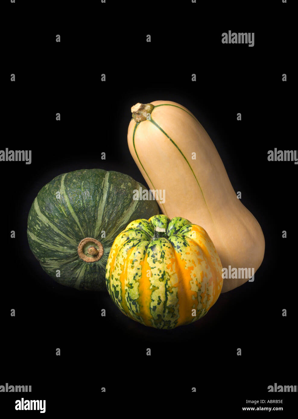 A selection of squashes on a black background Stock Photo - Alamy