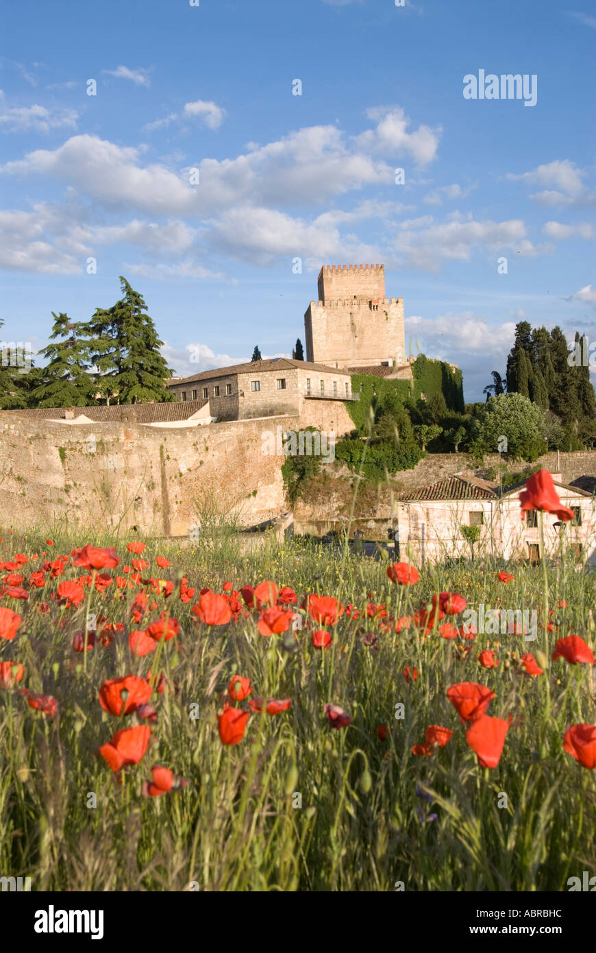 Castle of Trastamara Enrique 11 in Ciudad Rodrigo the tower framed by a ...