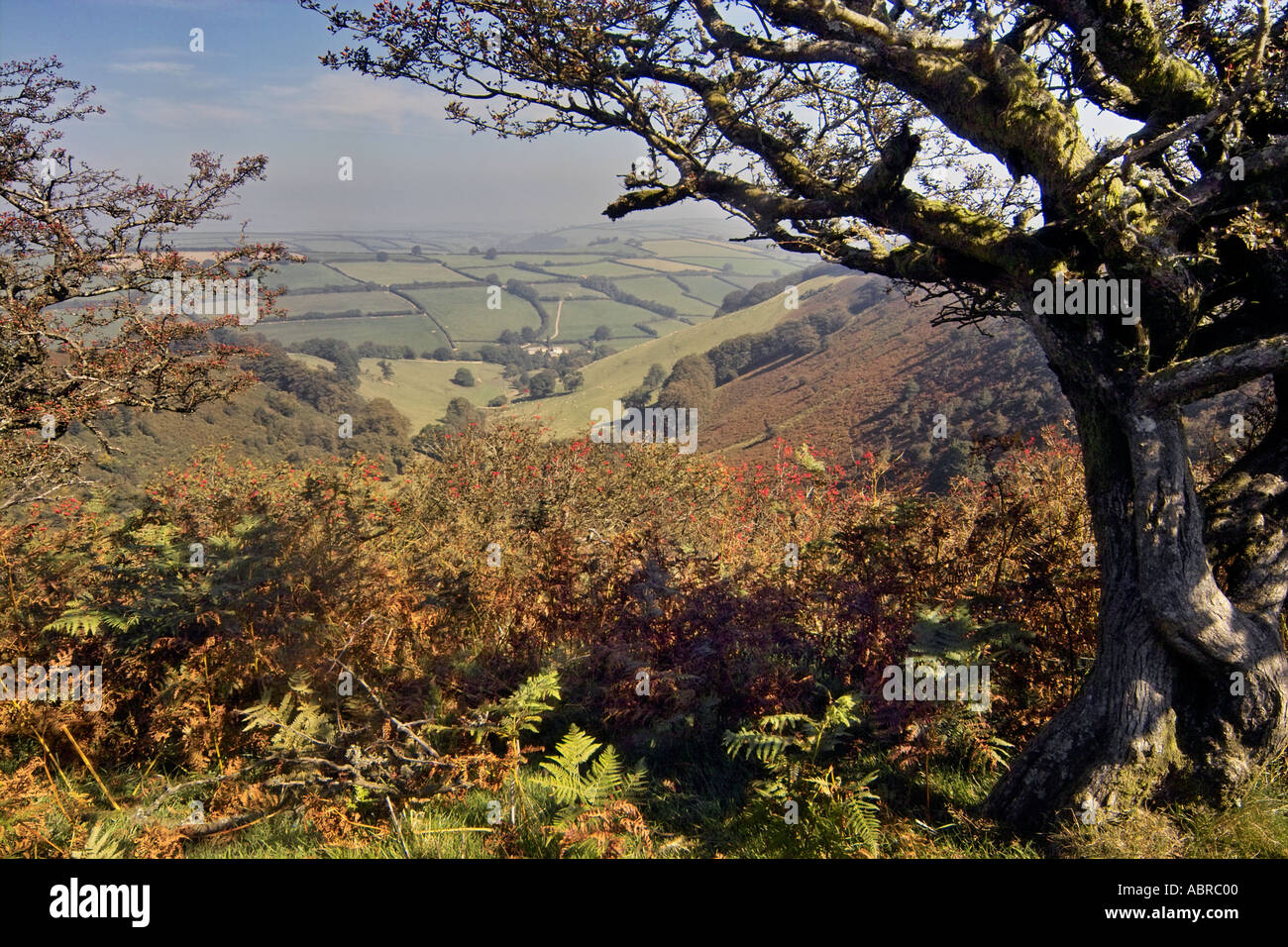 View of the Punch Bowl Winsford Hill Exmoor National Park Somerset ...
