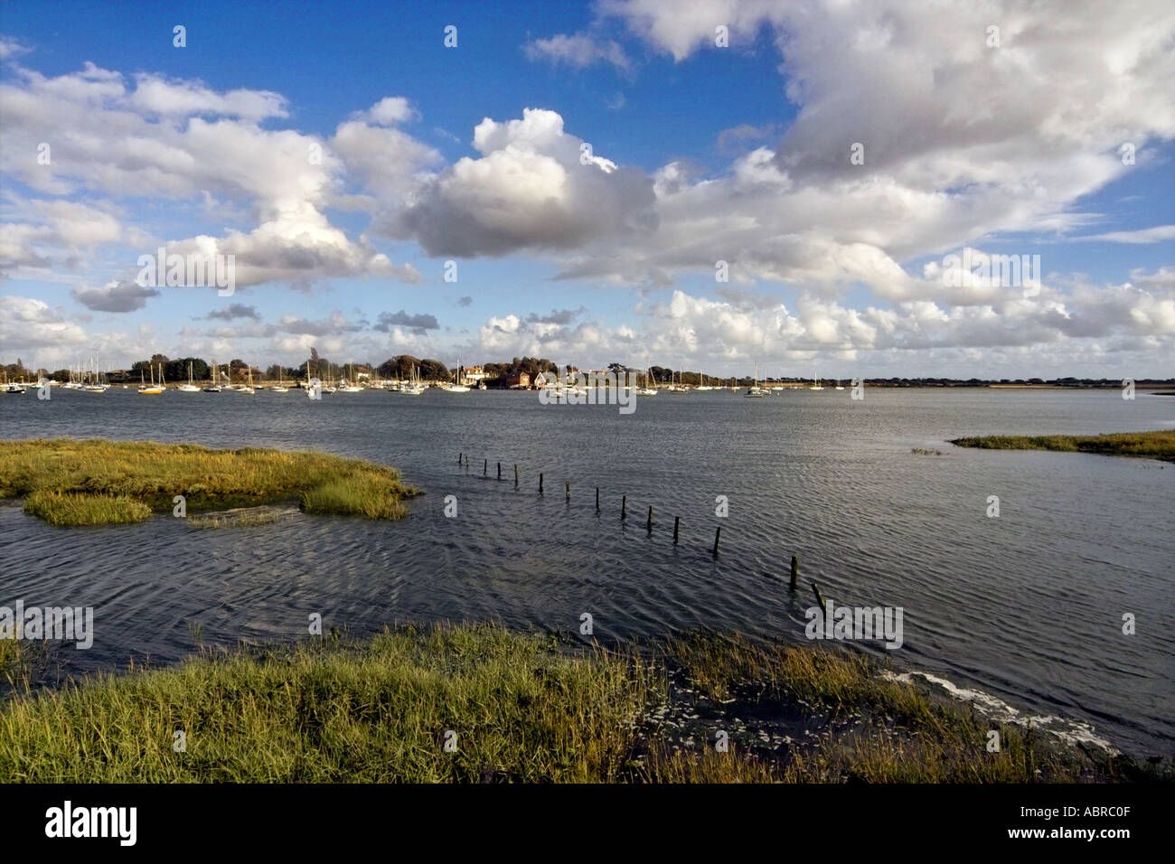 Sussex chichester dell quay hi-res stock photography and images - Alamy