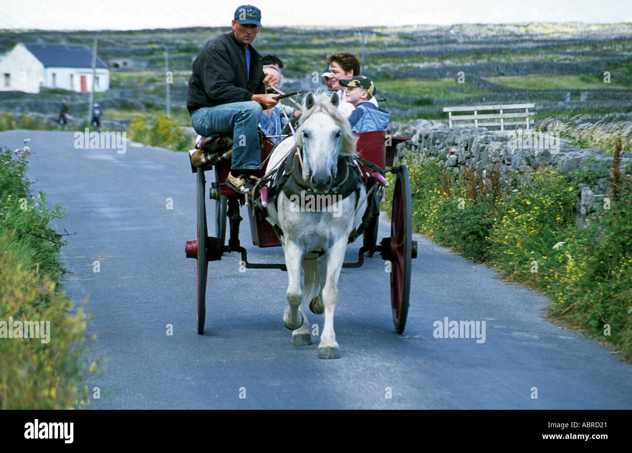Pony Trap High Resolution Stock Photography and Images - Alamy