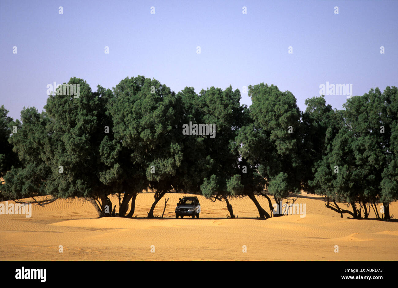 Jeep expedition sahara desert hi-res stock photography and images - Alamy