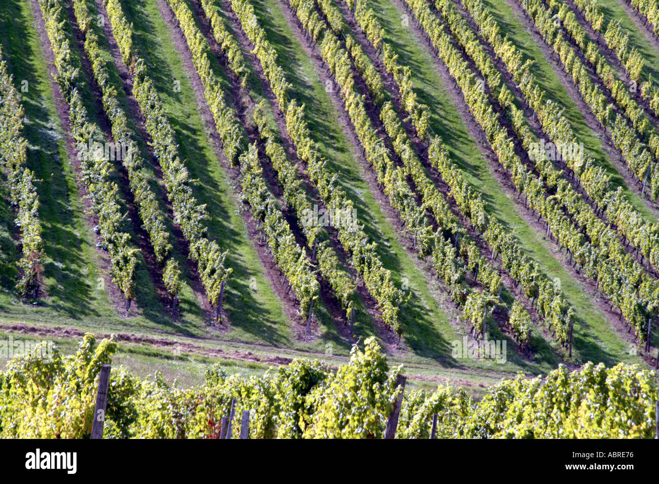 Bergerac area hi-res stock photography and images - Alamy