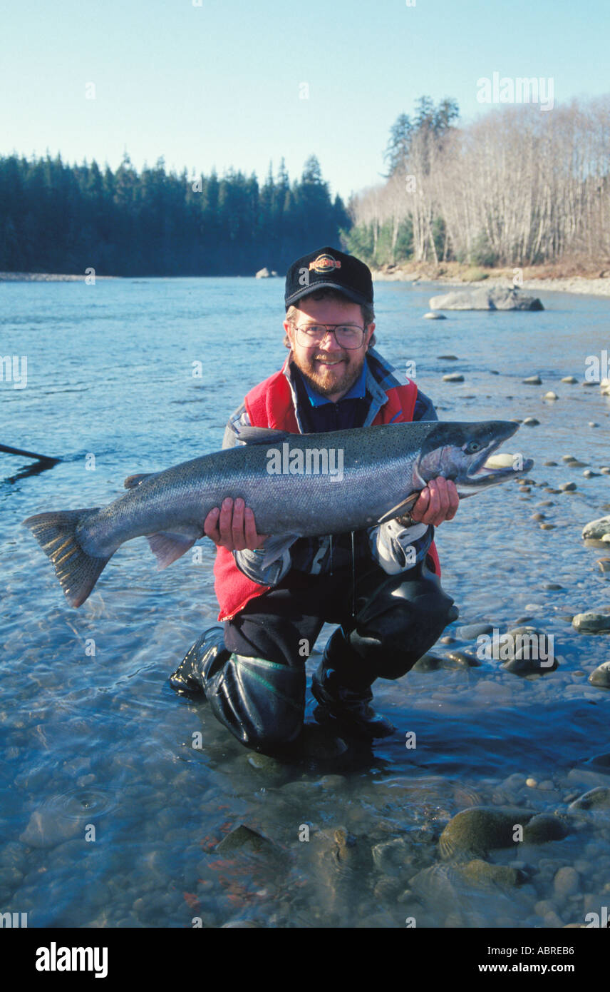 A 20 pound Steelhead caught on an Olympic Peninsula River WA Stock ...
