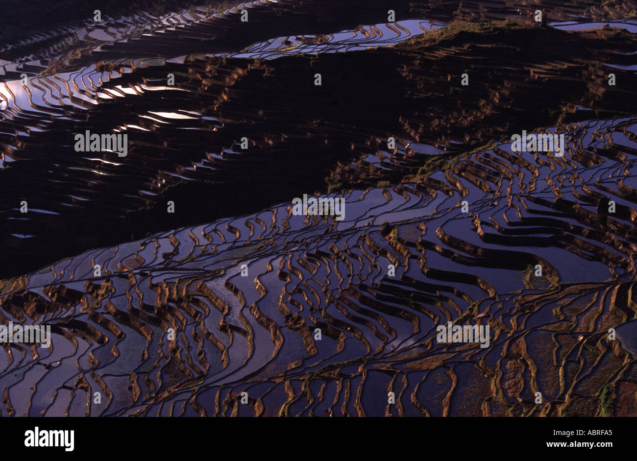 Sunrise over Yuanyang Rice Terraces Stock Photo - Alamy