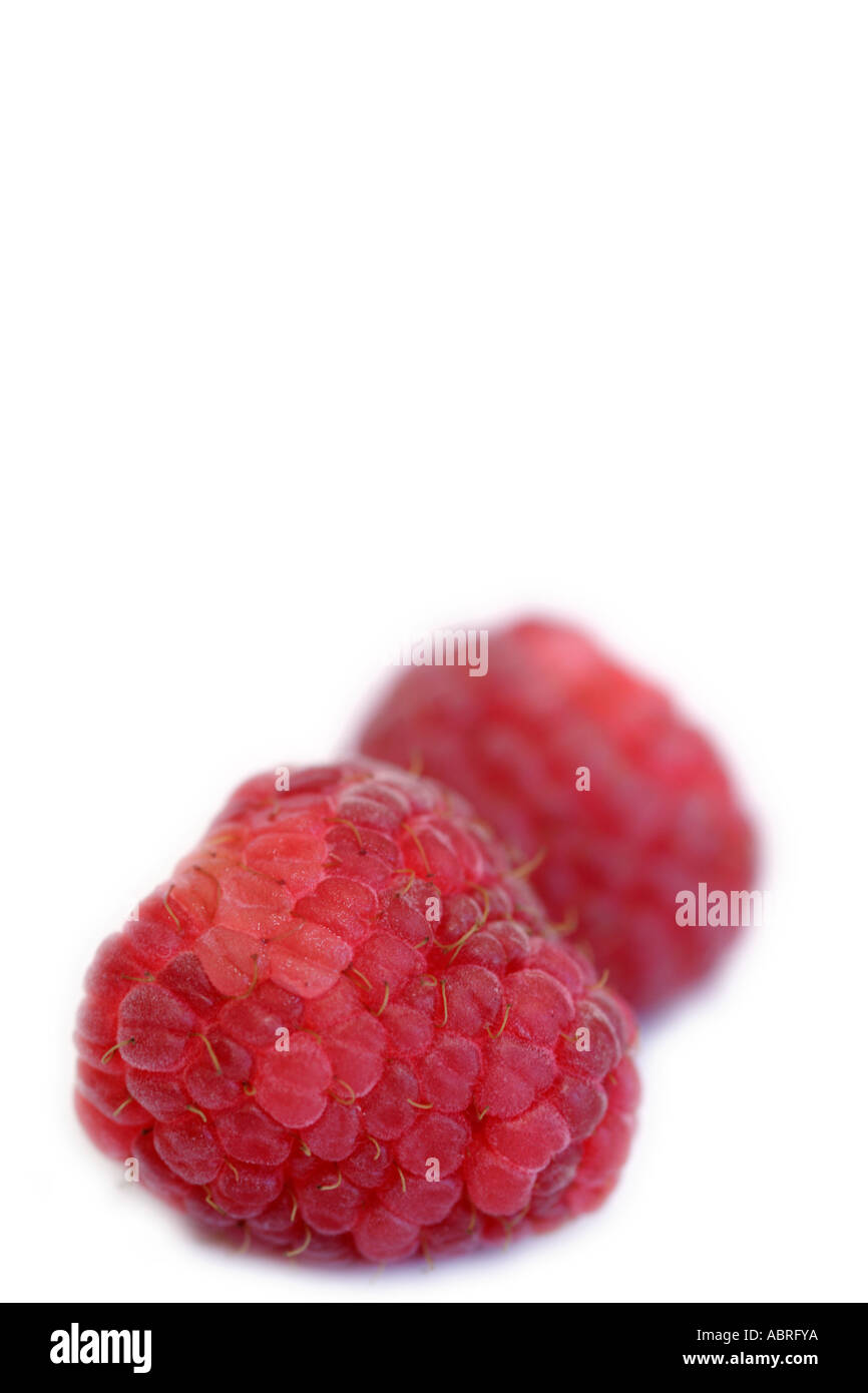 Two plump hi-res stock photography and images - Alamy