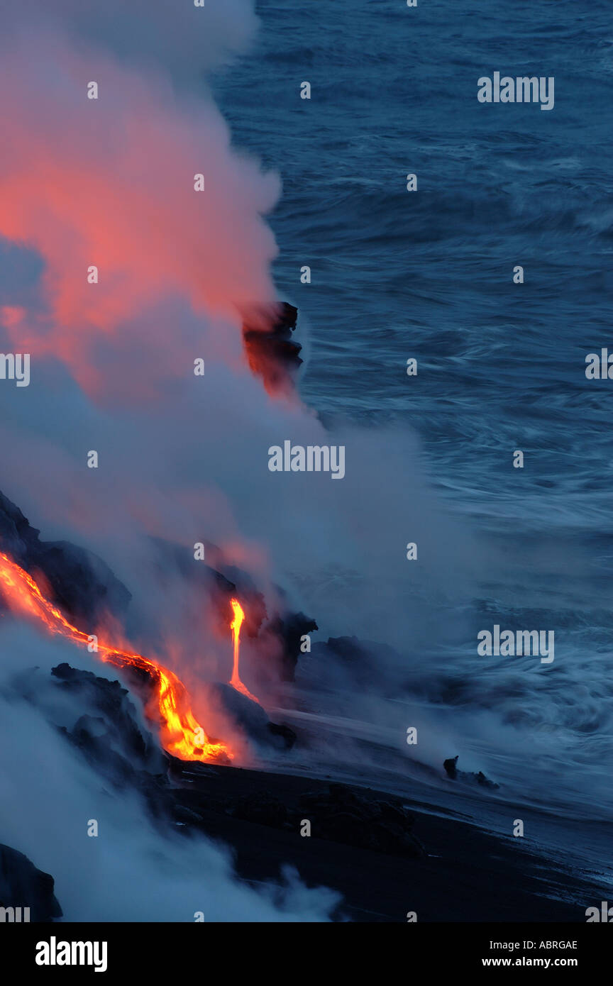 Nene hawaii volcanoes national park hi-res stock photography and images ...