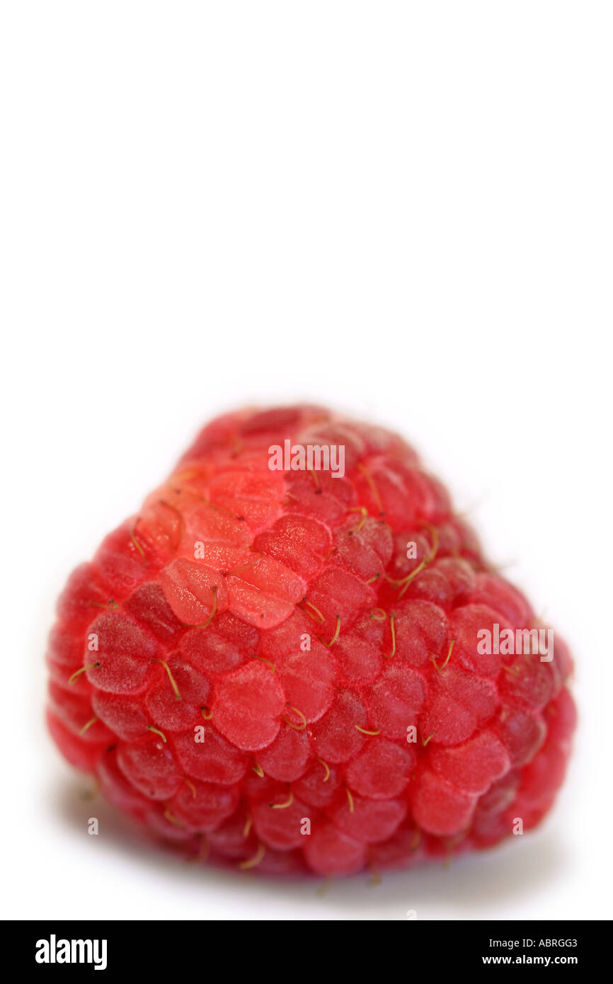 Out of plump hi-res stock photography and images - Alamy