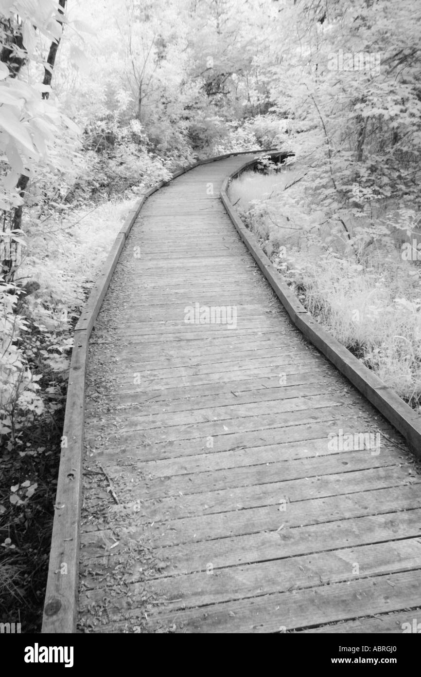 Mystical pathway Black and White Stock Photos & Images - Alamy