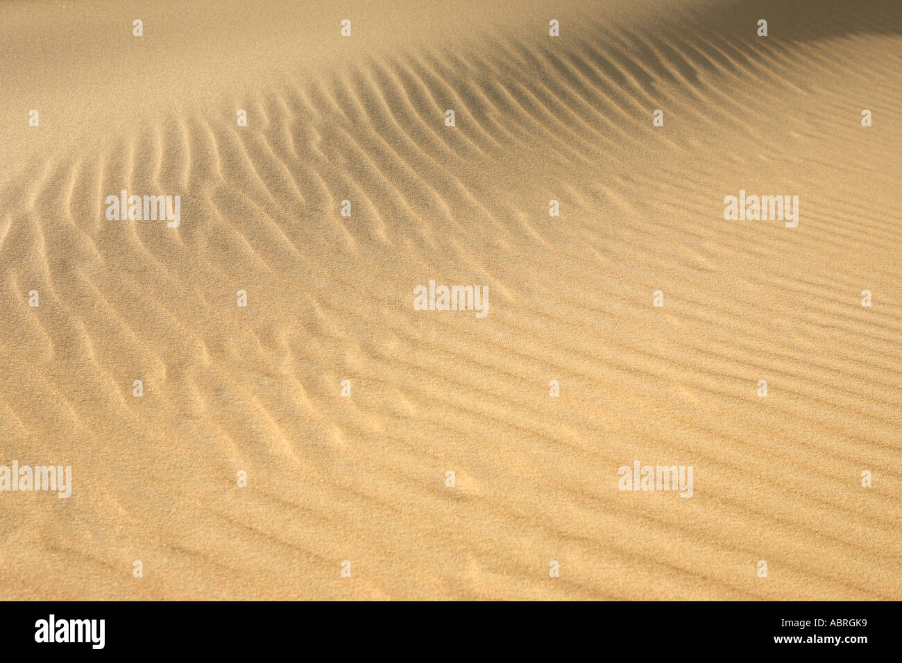 Horizontal shot of ripples and formations in sand Kenton on Sea South ...