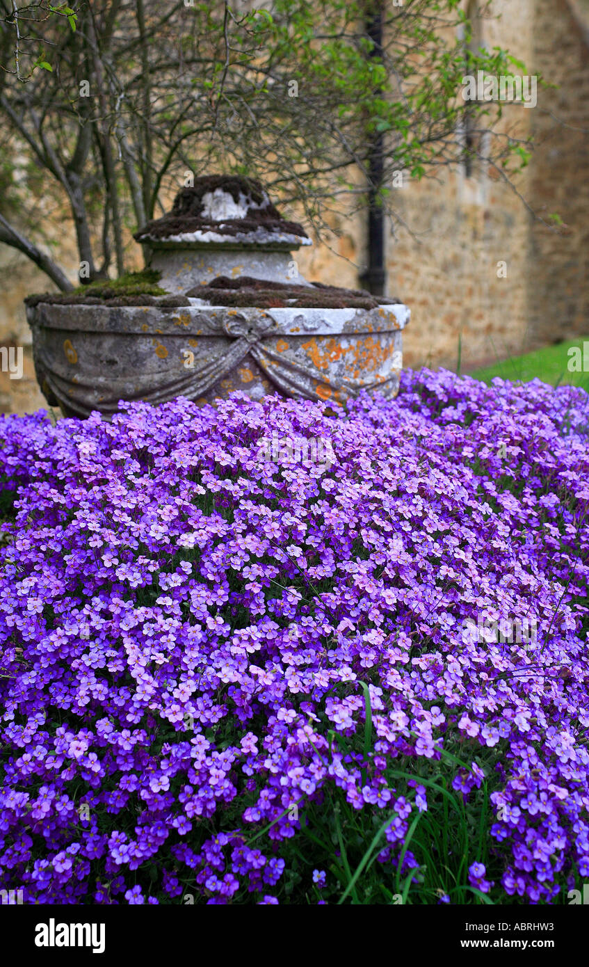 Grave urn plant hi-res stock photography and images - Alamy