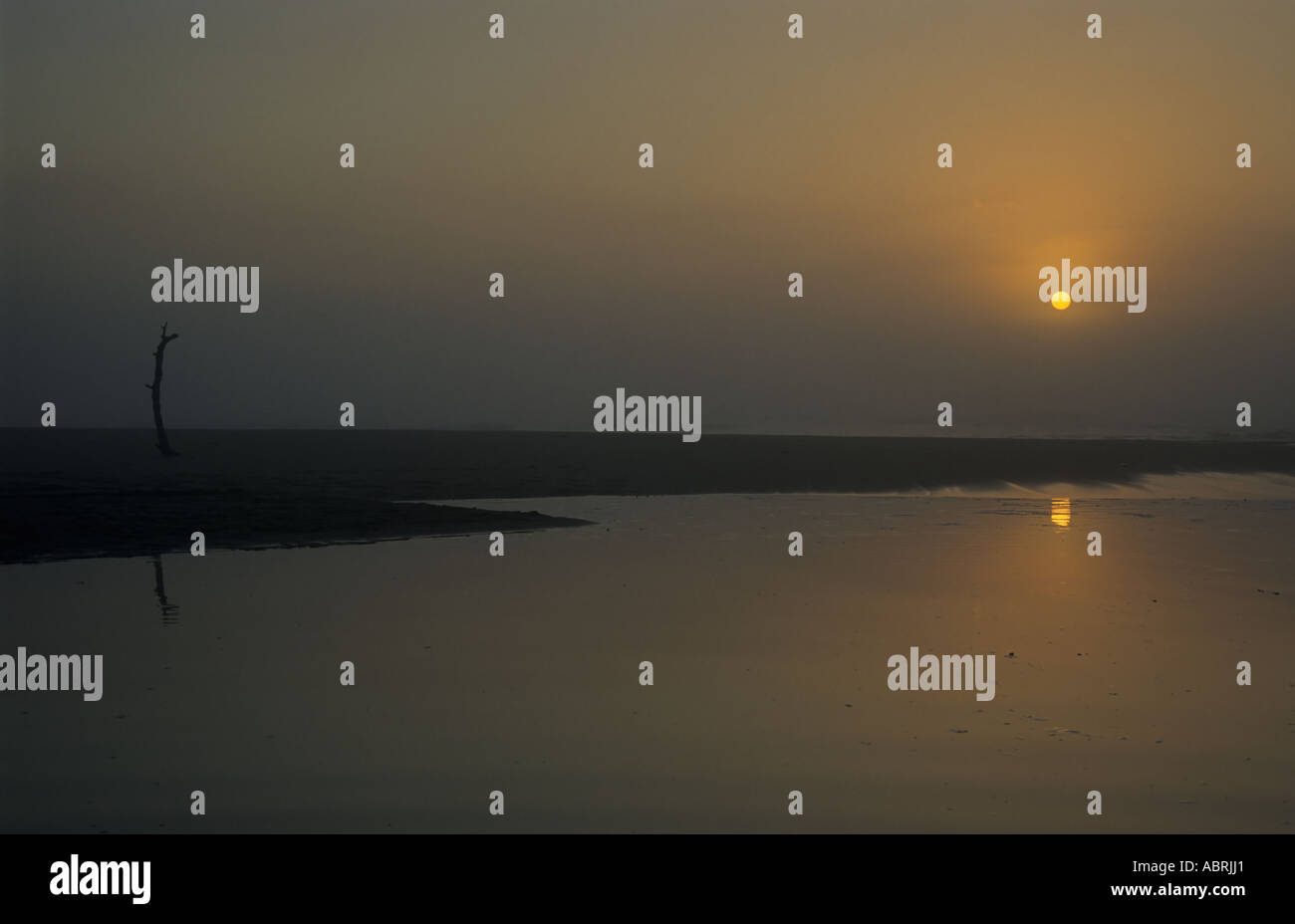 Sunrise through the mist Stock Photo - Alamy