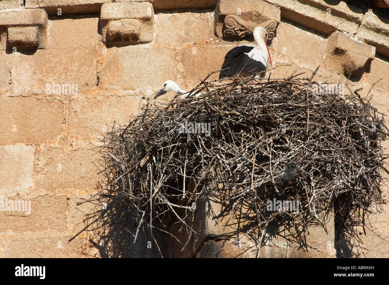 Museum spanish spanish culture storks architecture hi-res stock ...
