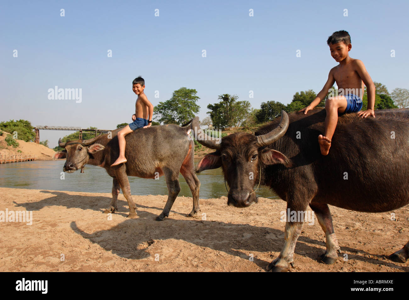 Kids riding water buffalo hi-res stock photography and images - Alamy