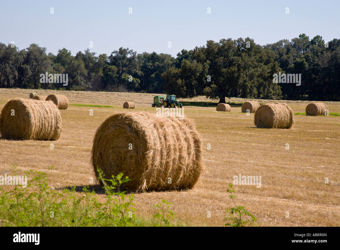 Rolling hay bales in Florida, USA Stock Photo - Alamy