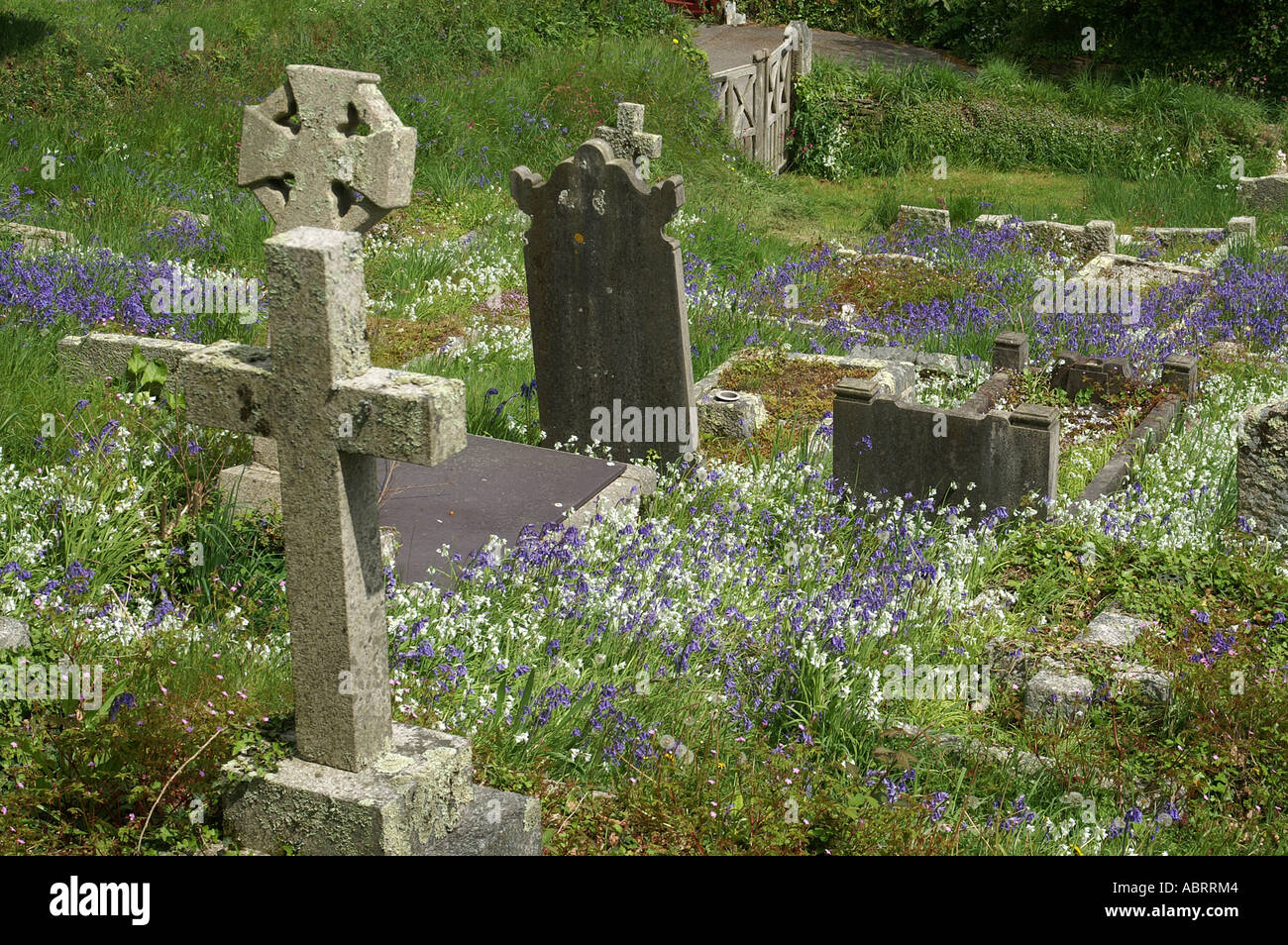 Cemetry at Feock Cornwall England U.K. Europe Stock Photo - Alamy