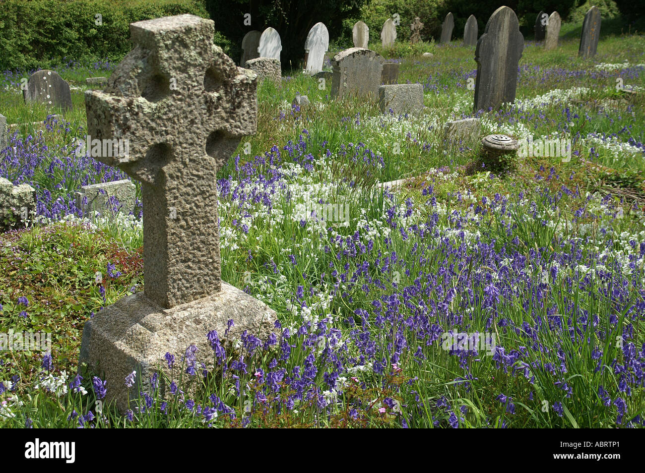 Cemetry at Feock Cornwall England U.K. Europe Stock Photo - Alamy