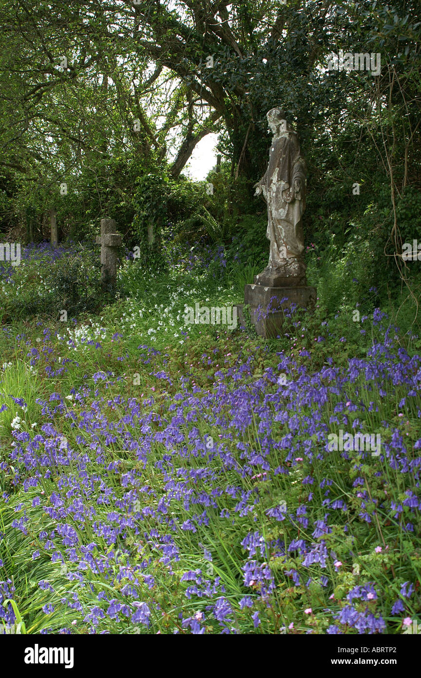Cemetry at Feock Cornwall England U.K. Europe Stock Photo - Alamy
