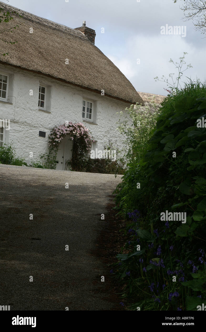 Thatched cottages at Feock Cornwall England U.K. Europe Stock Photo - Alamy