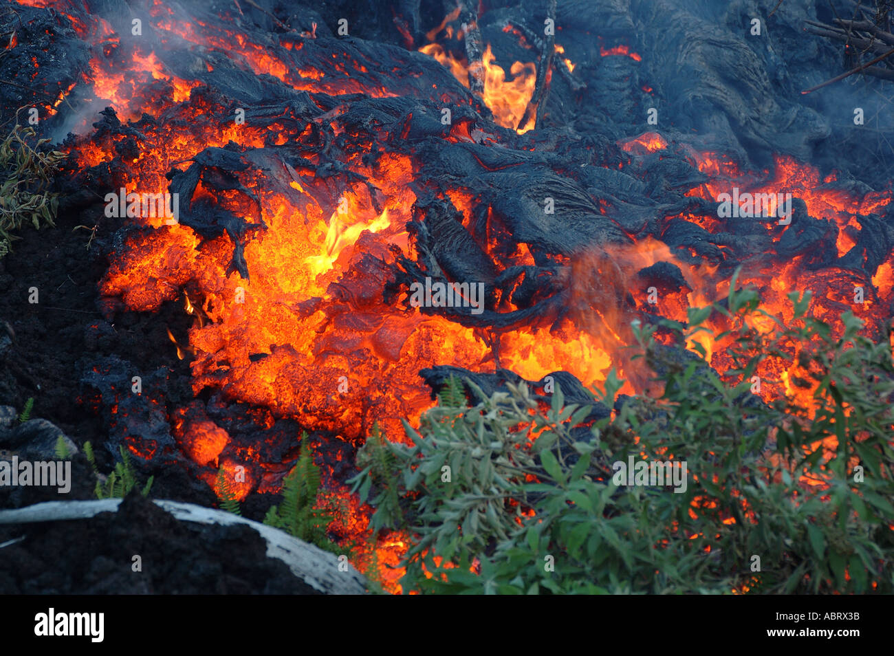 Small flow burns brush high up the Pali Hawaii Volcanoes National Park ...