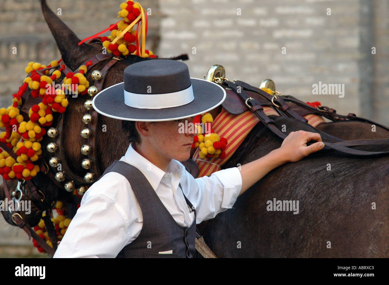 Corte de caballos hi-res stock photography and images - Alamy