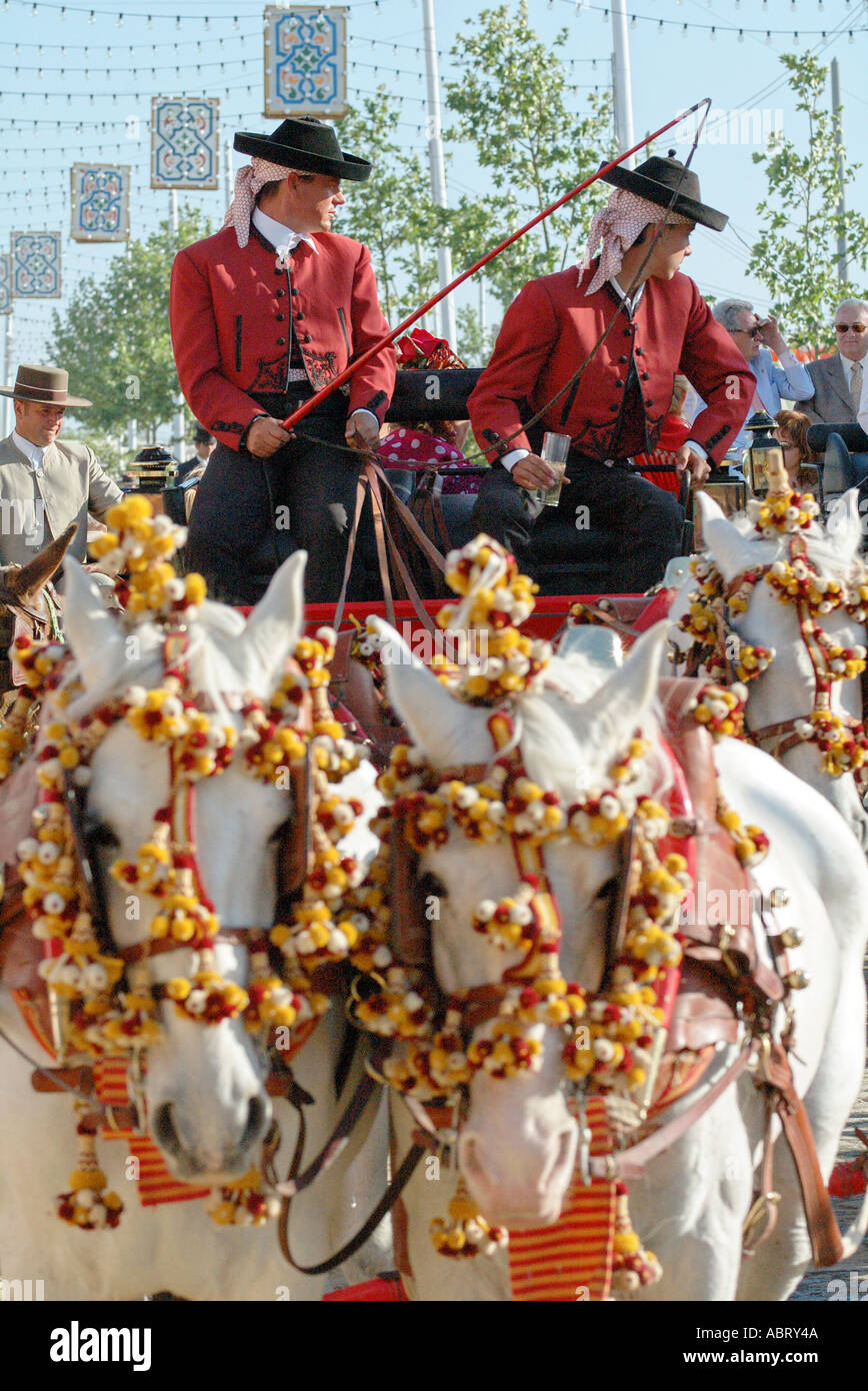 Coachmen in traditional dress with magnificently caparisoned mules at ...