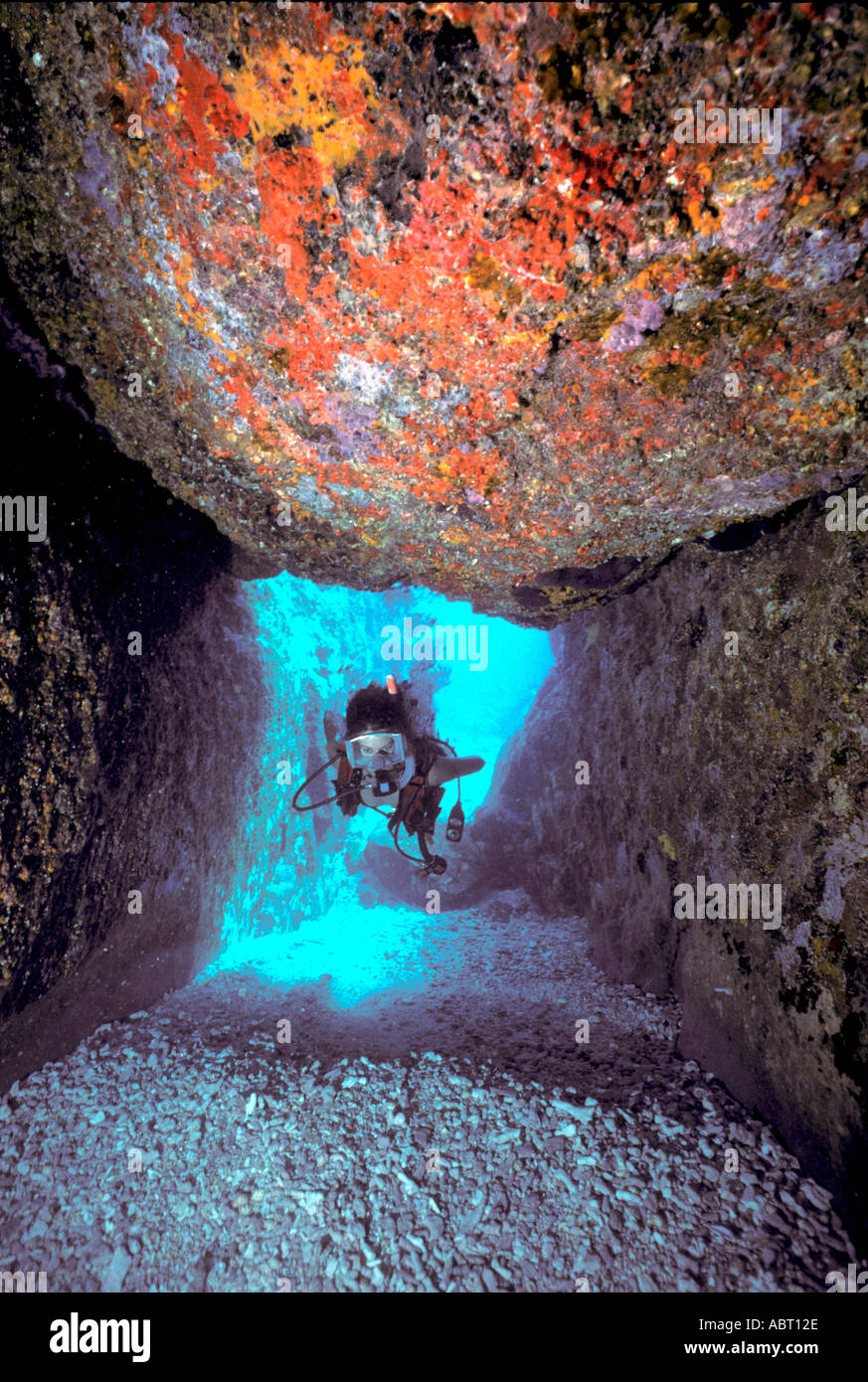 Seychelles Woman diver swimming through stone cave with encrusting ...