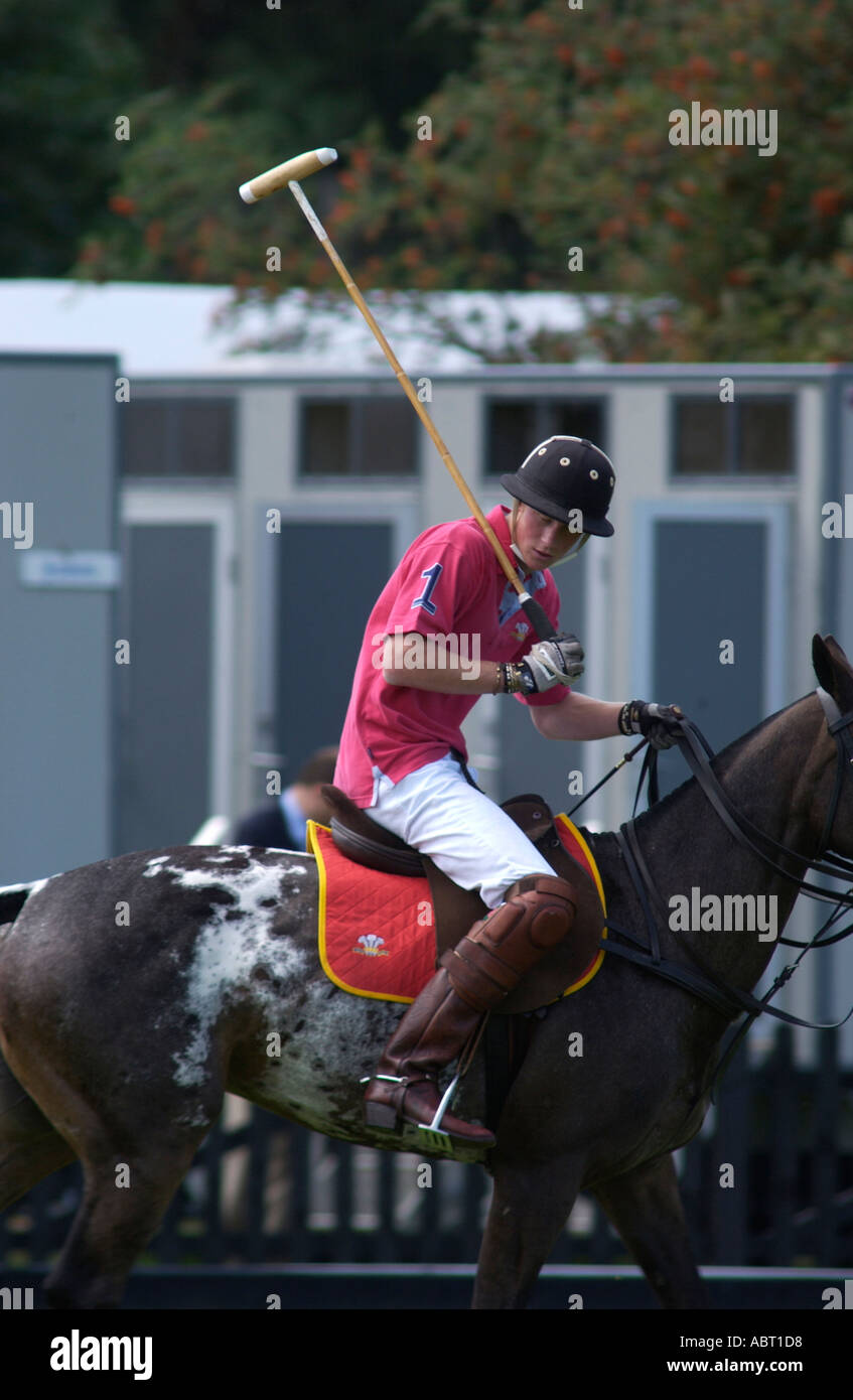Harry polo hi-res stock photography and images - Alamy