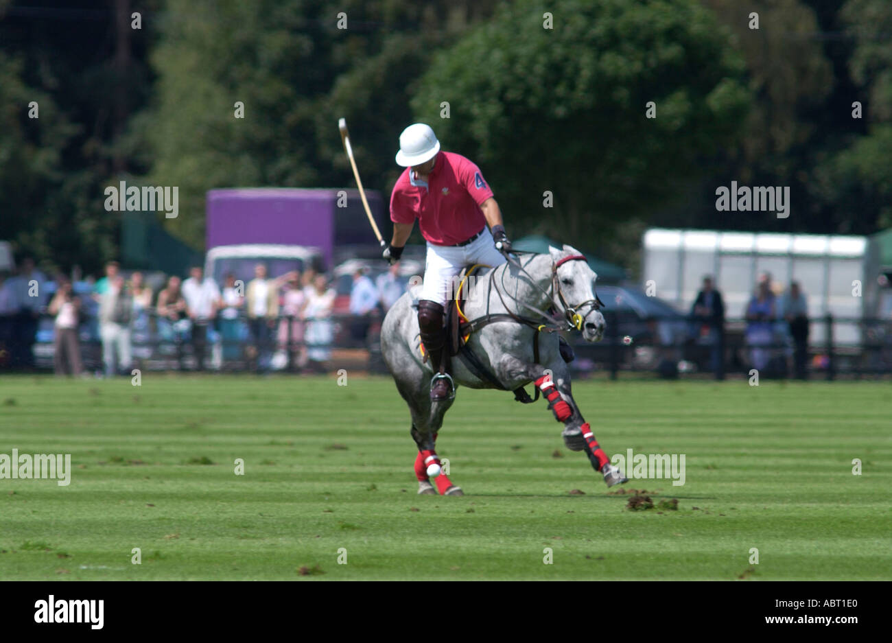 JAMIE LE HARDY Stock Photo - Alamy