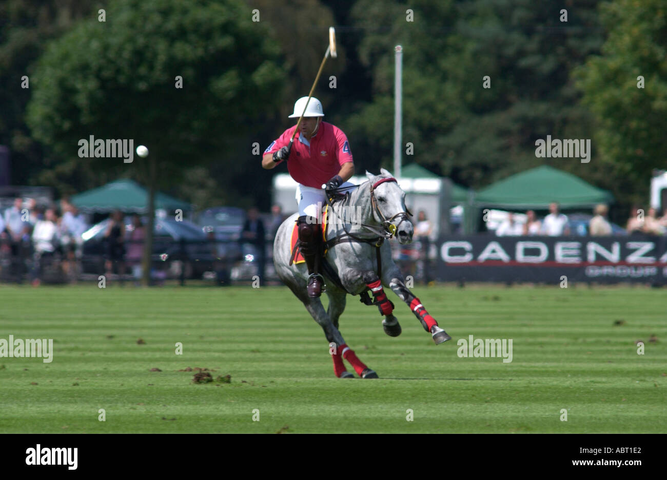 JAMIE LE HARDY Stock Photo - Alamy