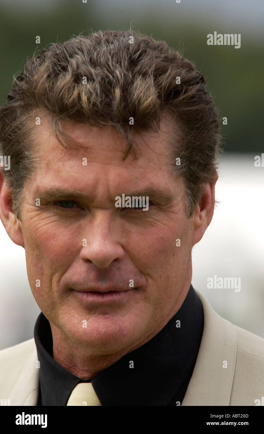 DAVID HASSELHOFF Stock Photo - Alamy