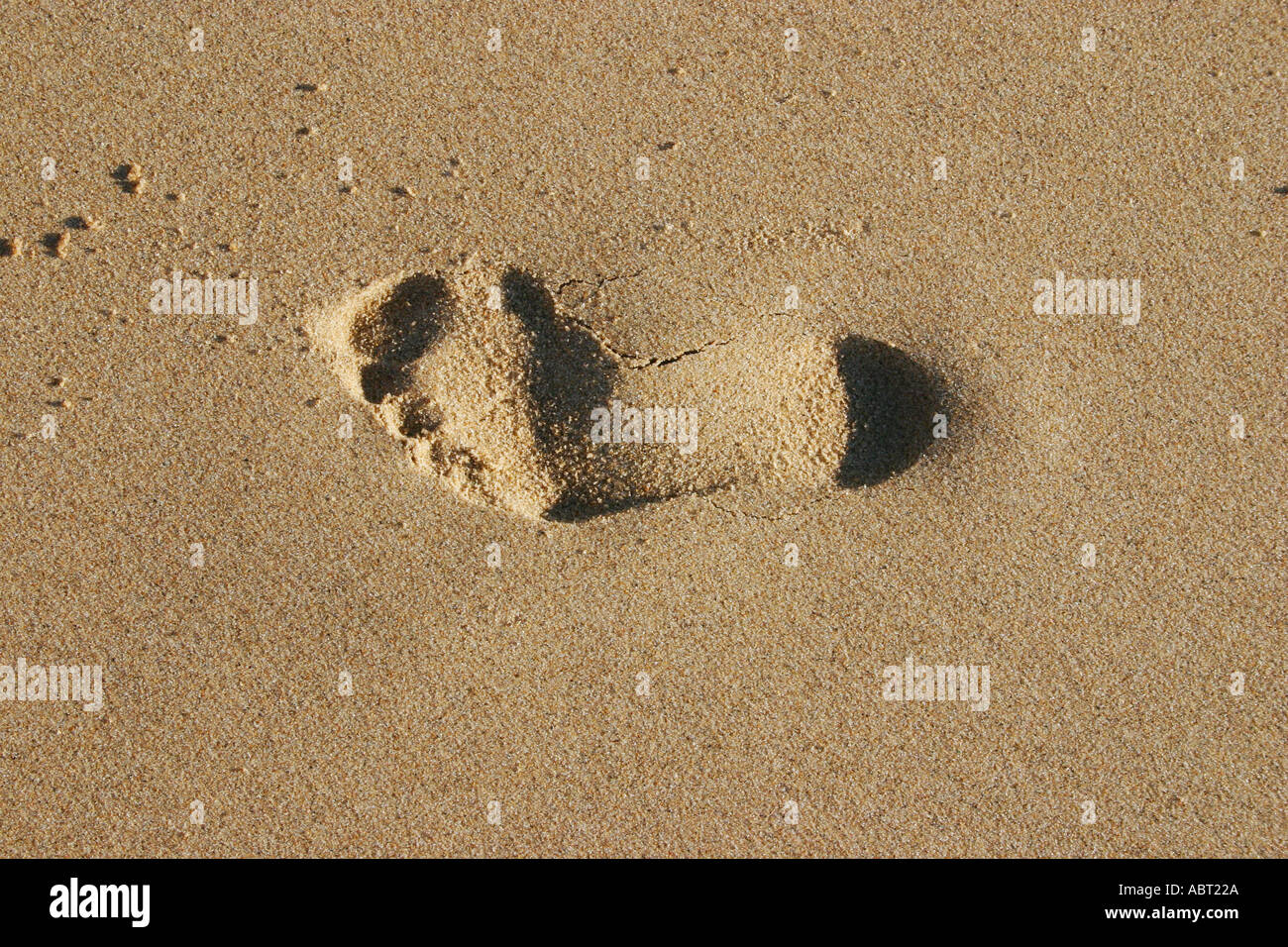 Single footprint in the sand Stock Photo - Alamy