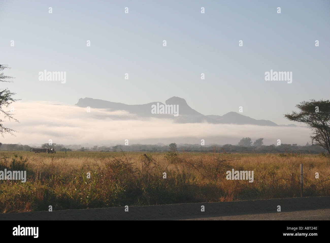 Early morning clouds lying low over a field Stock Photo - Alamy