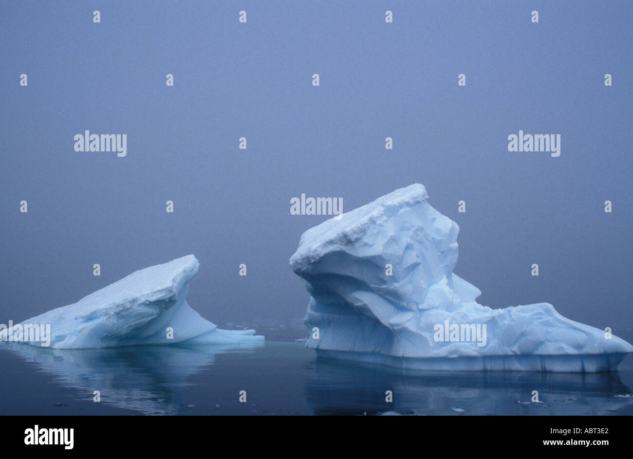 ANTARCTICA Iceberg in heavy fog Paradise Bay antarctic Peninsula Stock ...
