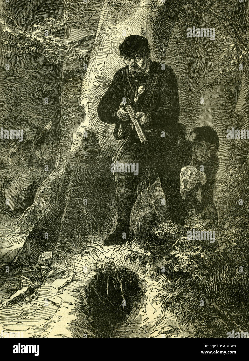 Fox hole hi-res stock photography and images - Alamy