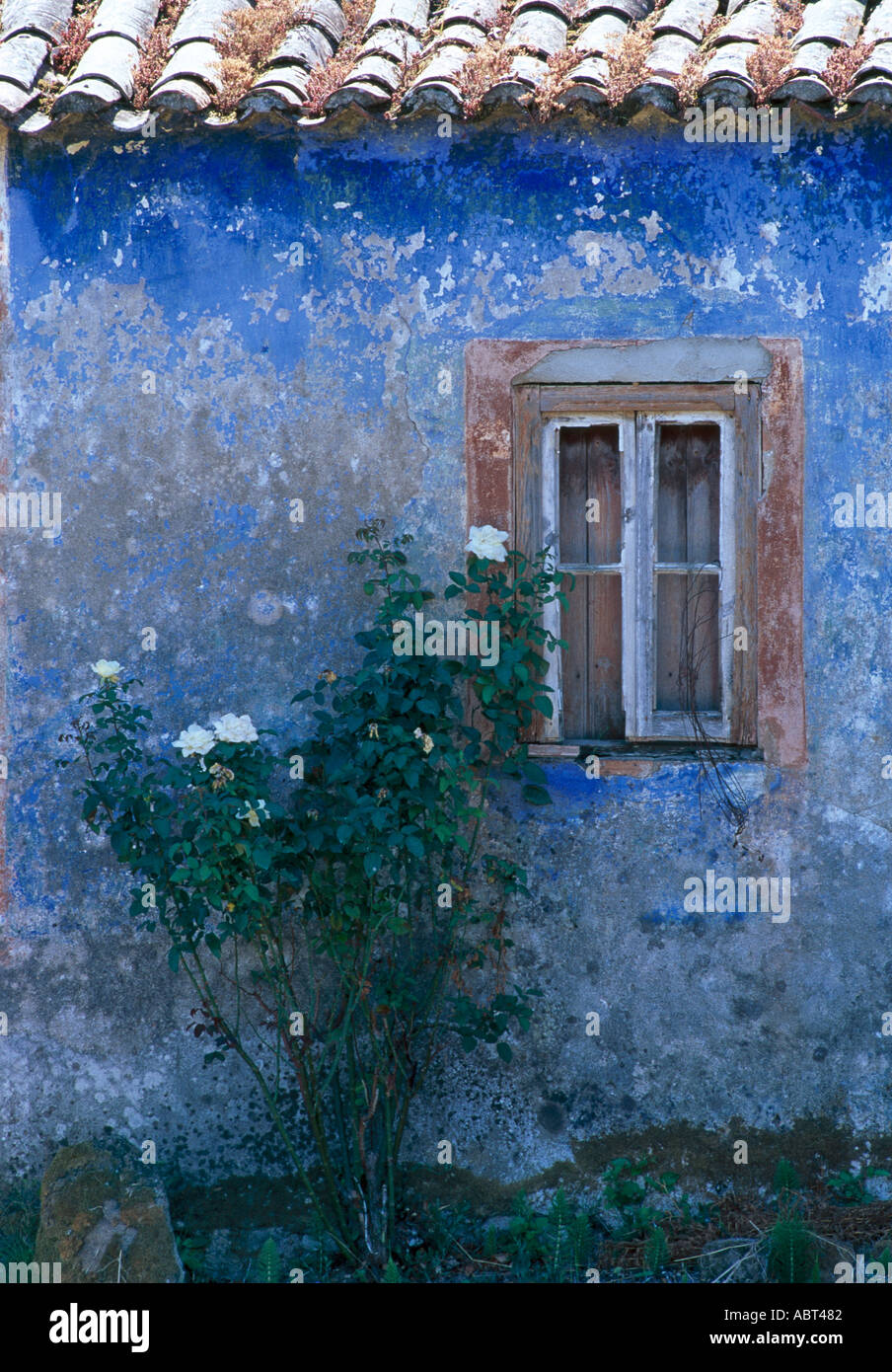 Rural house with blue wash and small broken casement window Stock Photo ...