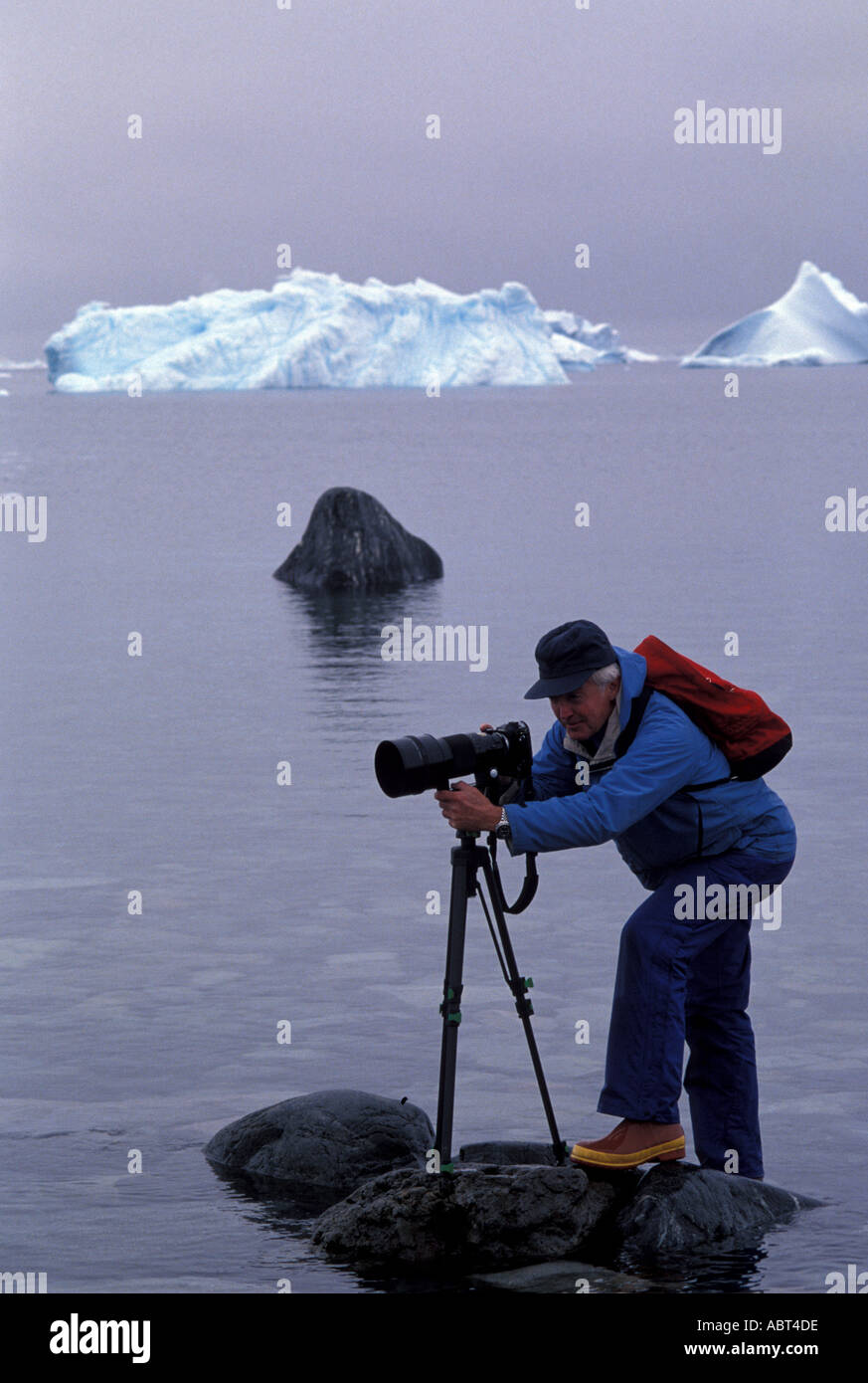 ANTARCTICA Photographer standing on rock surrounded by ice Stock Photo ...