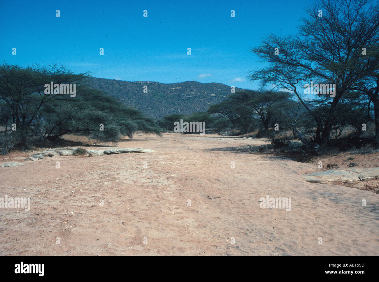 Drought Dried up river bed Samburu Kenya Stock Photo - Alamy