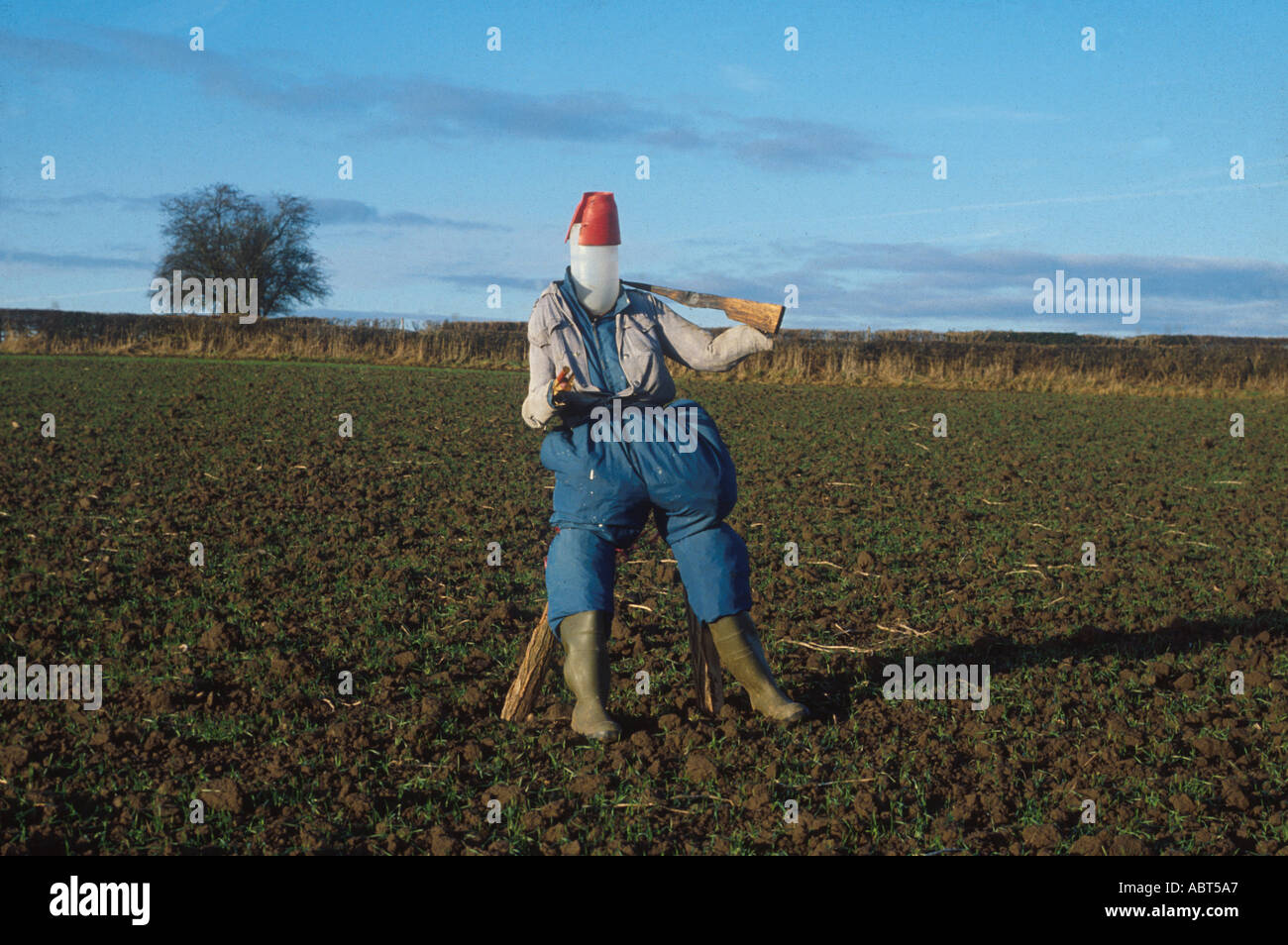 Farming Scarecrow Scarecrow in field of winter wheat Worcestershire ...