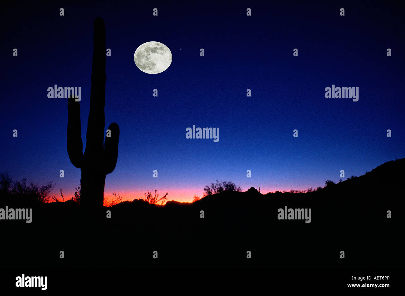 Arizonas saguaro national park hi-res stock photography and images - Alamy