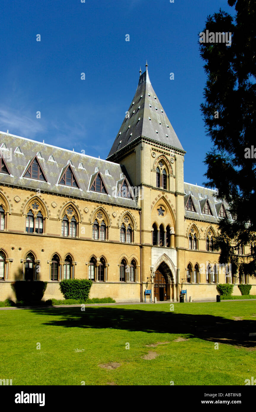 Visitor at pitt rivers hi-res stock photography and images - Alamy