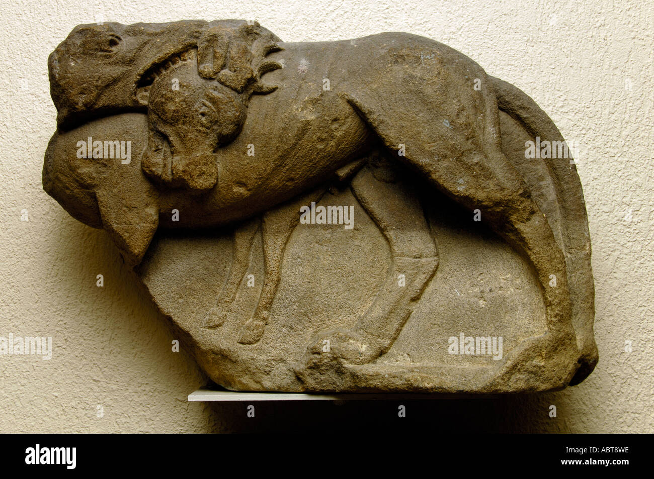 Dog roman britain hi-res stock photography and images - Alamy