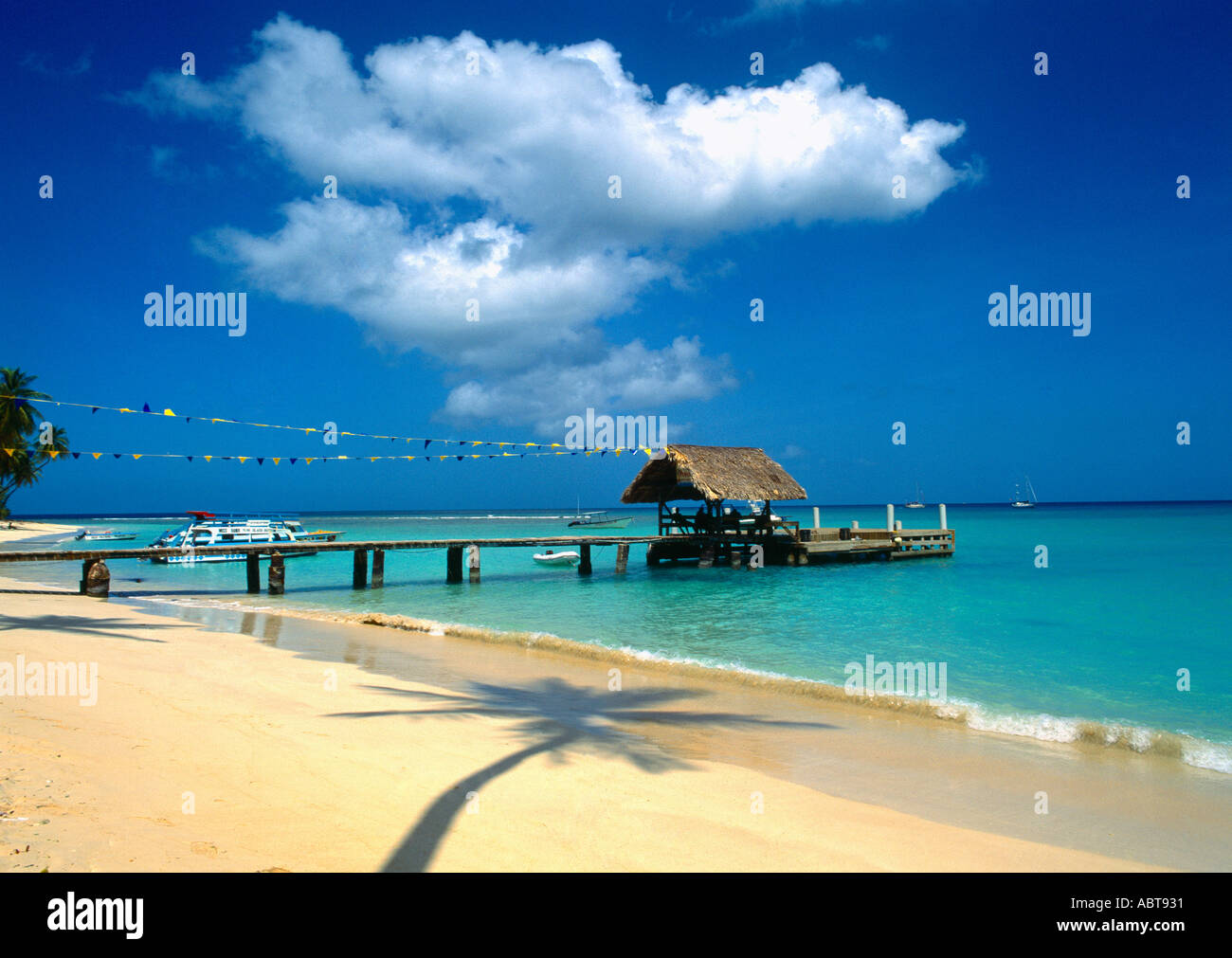 Tobago Trinidad Pigeon Point Jetty and Shadow of Palm tree on white ...