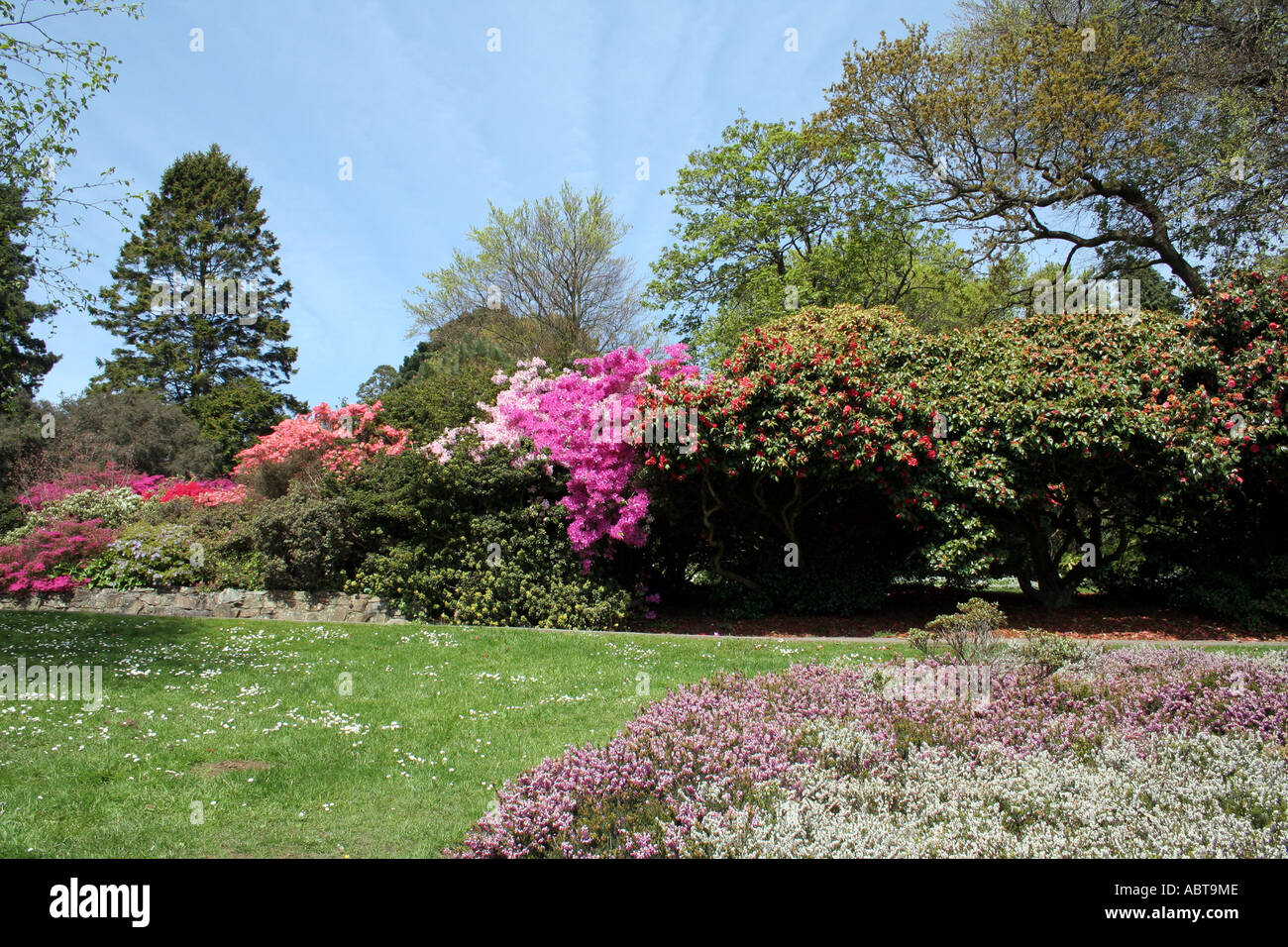 Clyne Gardens Swansea South Wales Stock Photo - Alamy