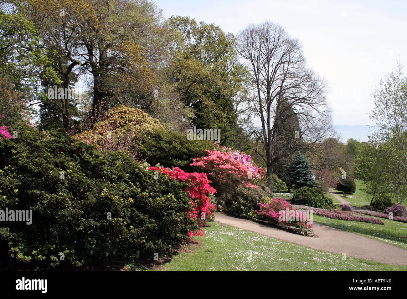 Clyne gardens swansea hi-res stock photography and images - Alamy