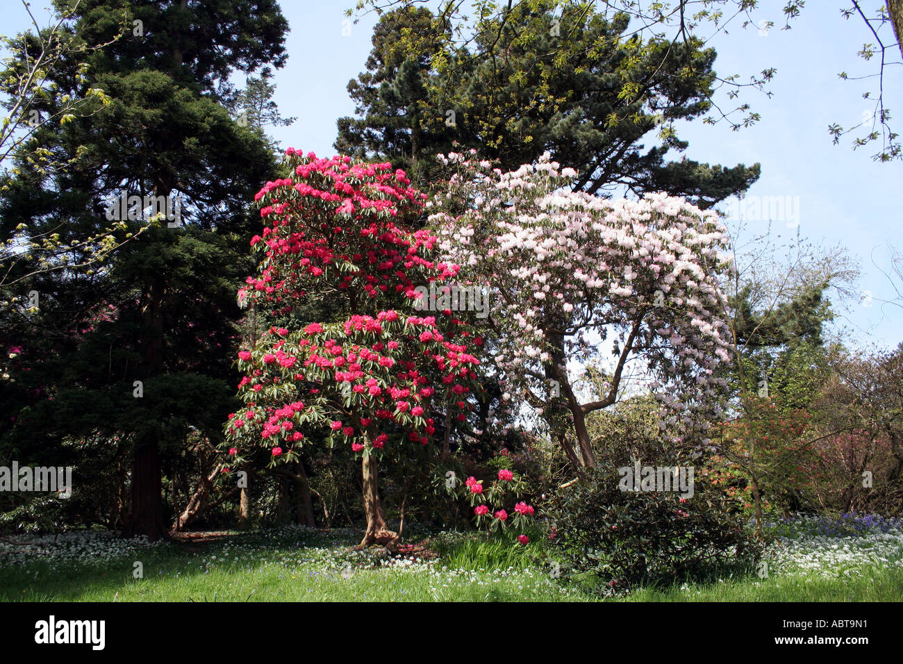 Clyne gardens swansea south wales hi-res stock photography and images ...