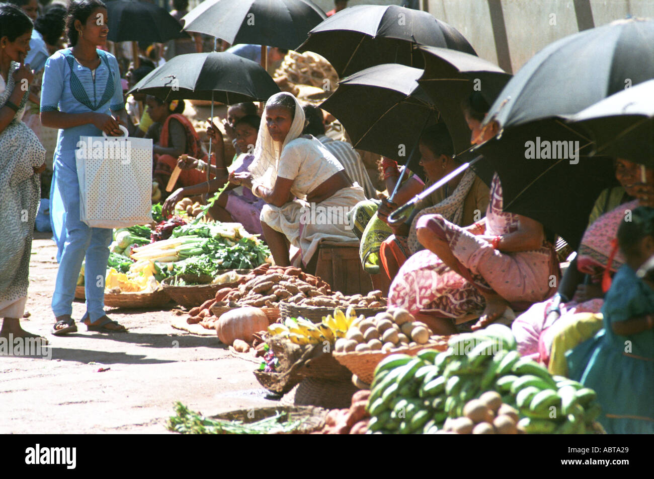 Women traders hi-res stock photography and images - Alamy