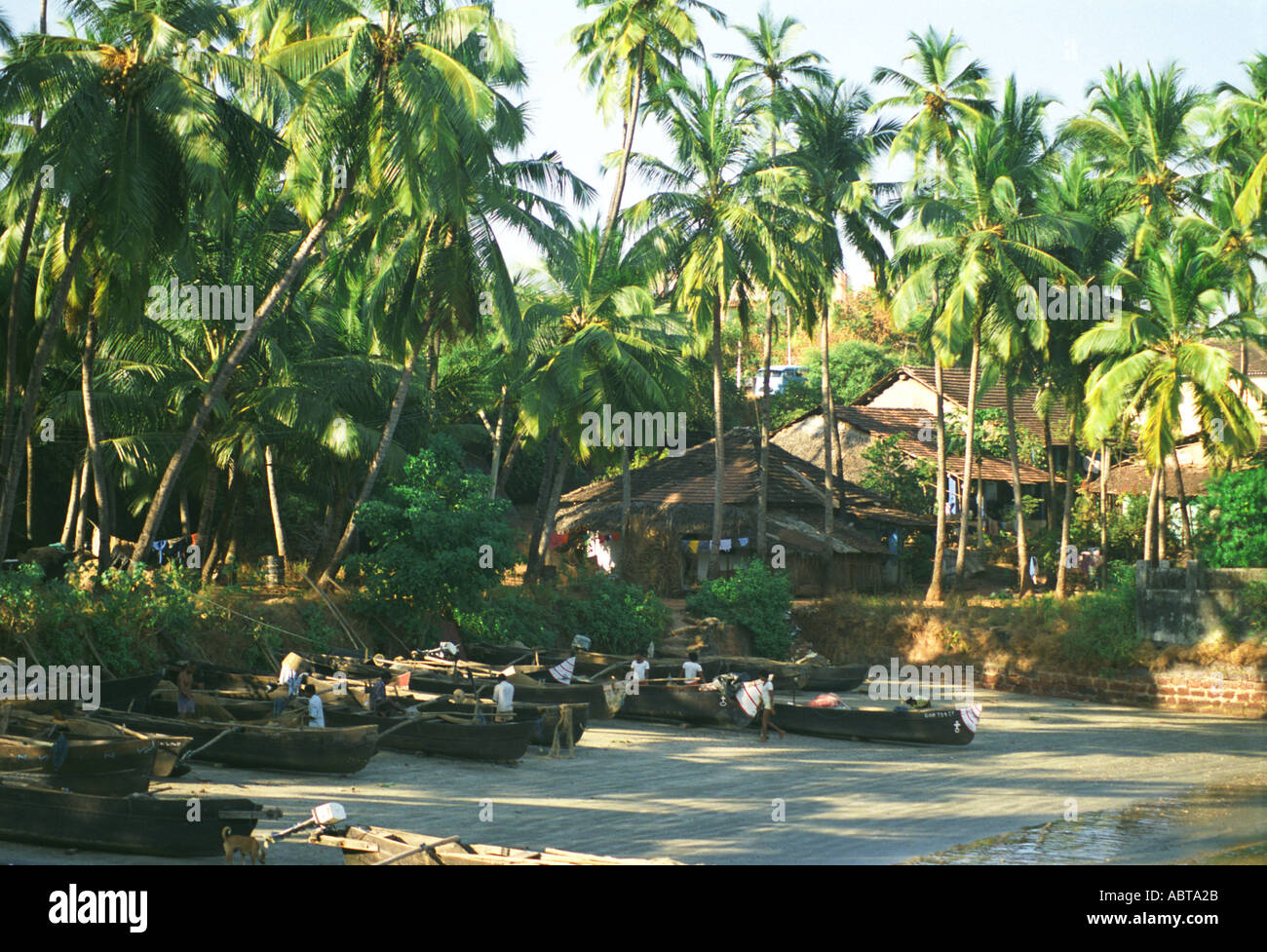 Ocean going fishing canoes lined up on a beach in Northern Goa India ...