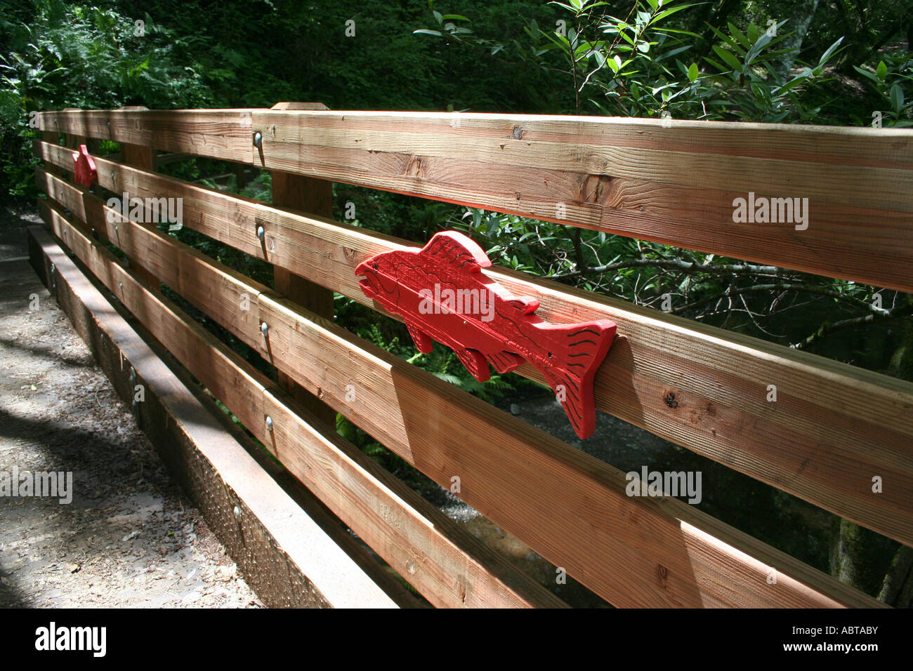 Salmon crossing sign on bridge, Marin California, USA Stock Photo - Alamy